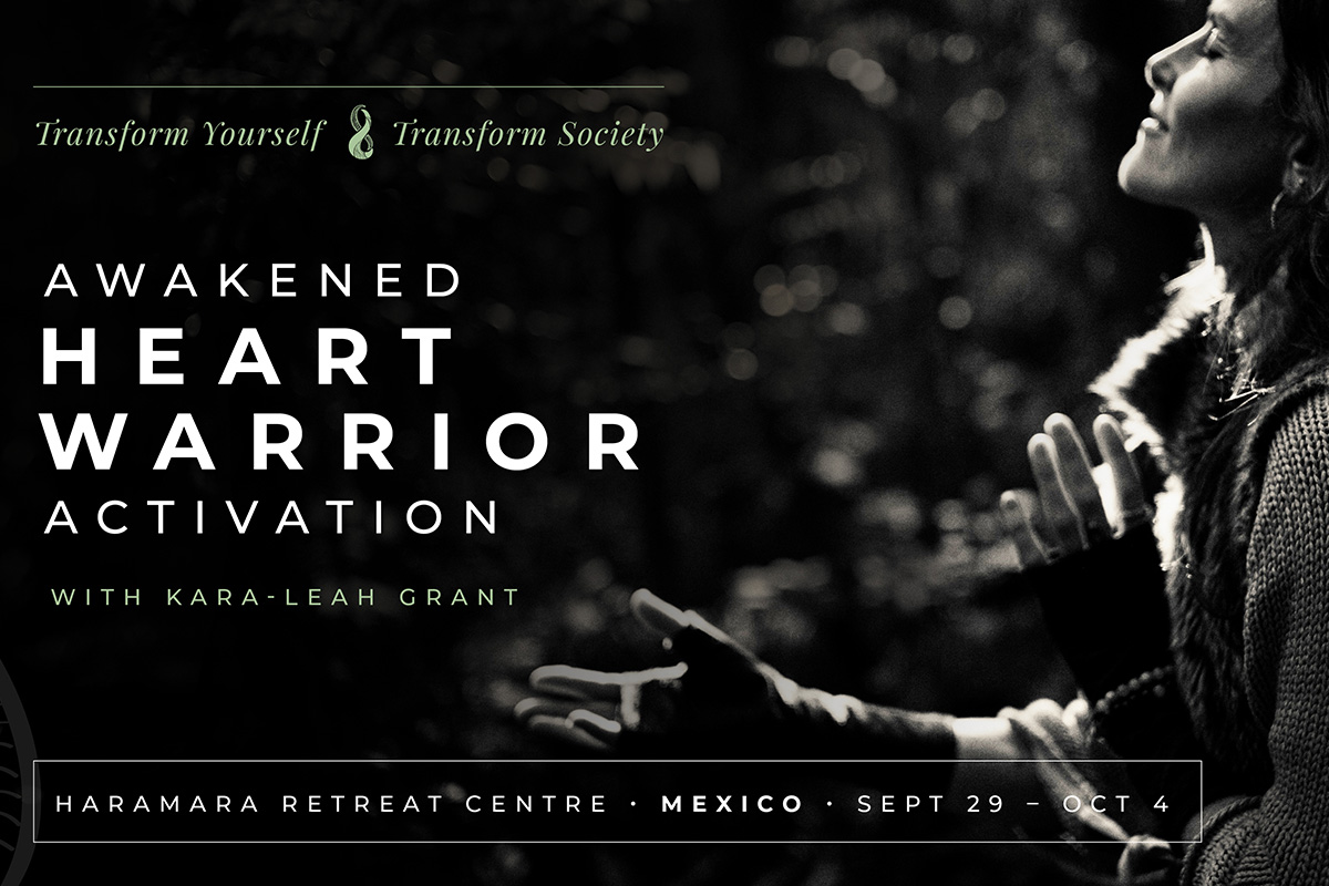 Time Out To Travel Awakened Heart Warrior Activation - Time Out To Travel
