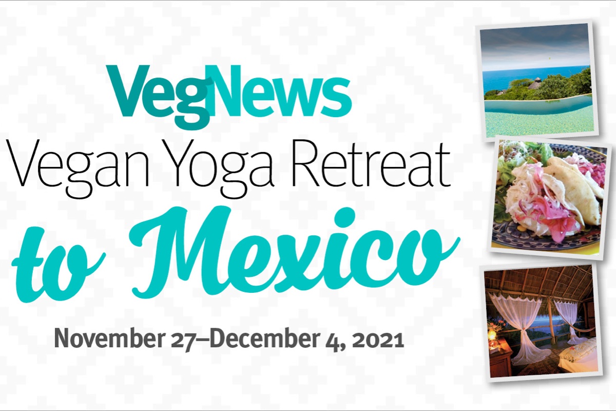 VegNews Vegan Yoga Retreat - Time Out To Travel
